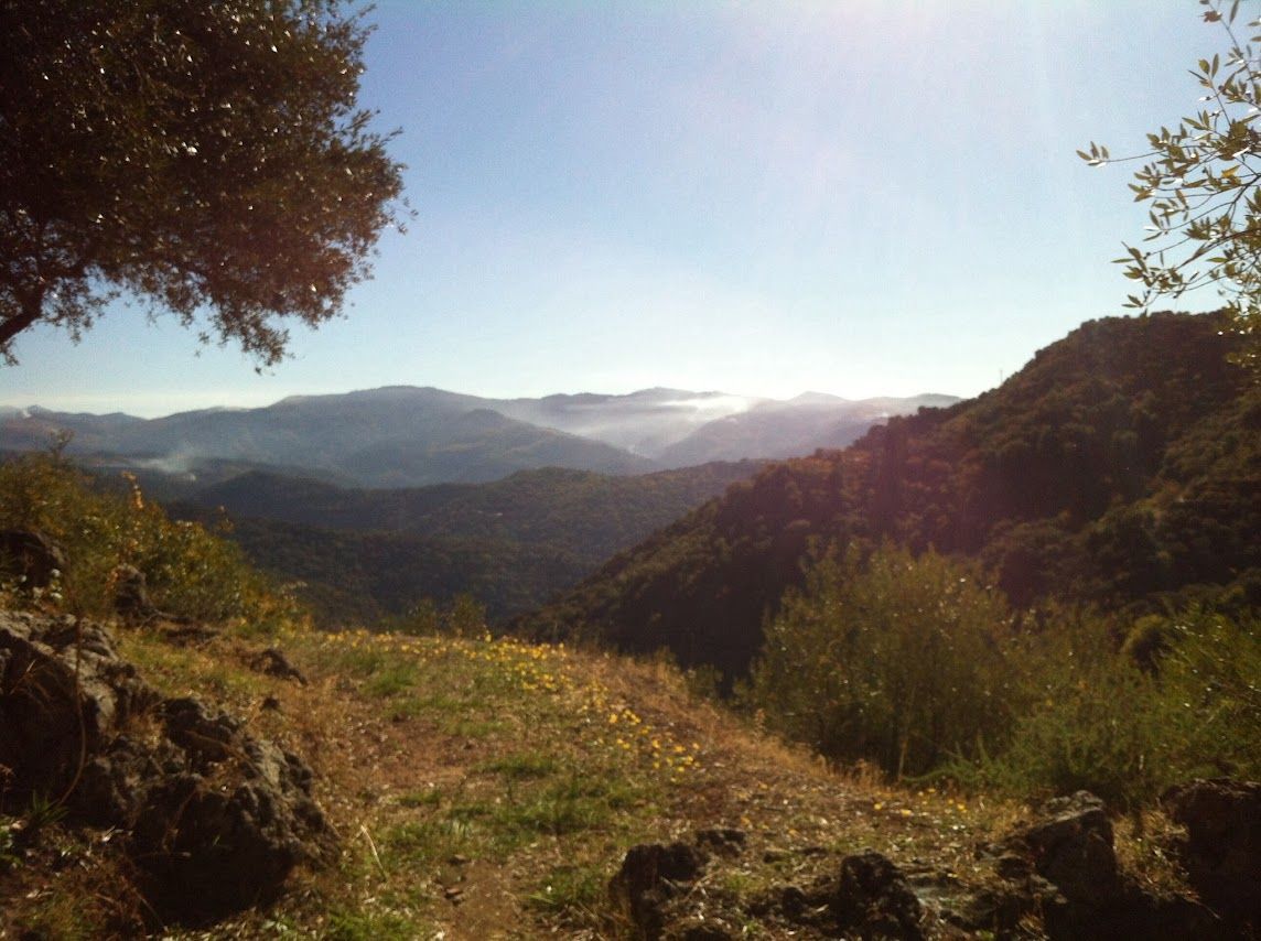 The local Area - Time and Space